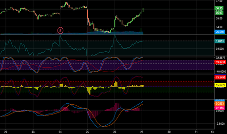 STLD Stock Price and Chart — TradingView