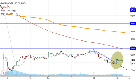 FLS Stock Price and Chart — TradingView