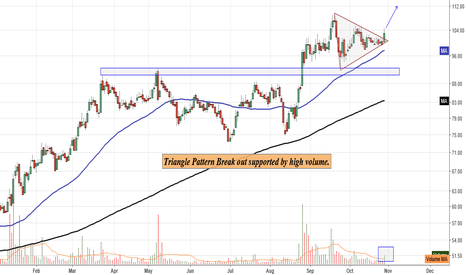 TRIDENT Stock Price and Chart — TradingView — India