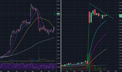 PETS Stock Price and Chart — TradingView