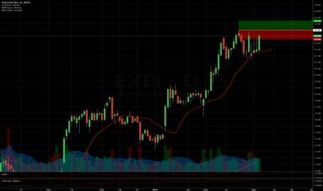 EXEL Stock Price and Chart — TradingView