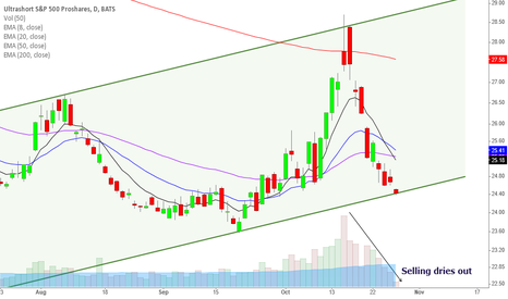 SDS Stock Price and Chart — TradingView