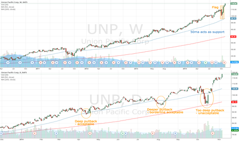 UNP Stock Price and Chart — TradingView