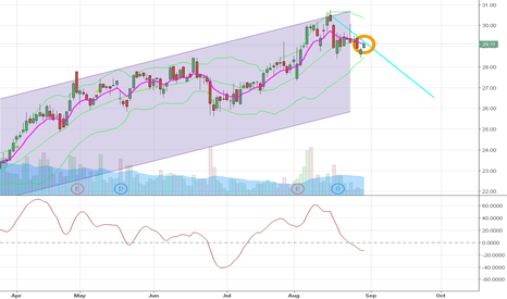 APO Stock Price and Chart — TradingView
