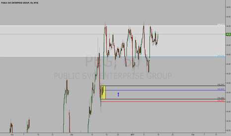 PEG Stock Price and Chart — TradingView