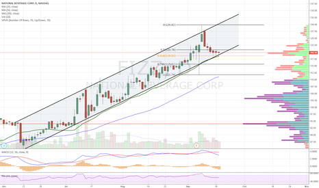 FIZZ Stock Price and Chart — TradingView
