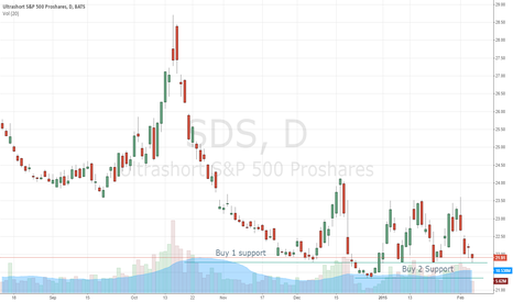 SDS Stock Price and Chart — TradingView