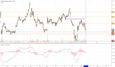 THC Stock Price and Chart — TradingView