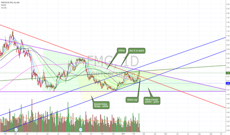 FMG Stock Price and Chart — TradingView