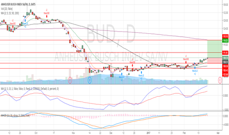 BUD Stock Price and Chart — TradingView