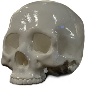 Genuine fake human - white Genuine Fake Human by S... | Trampt Library