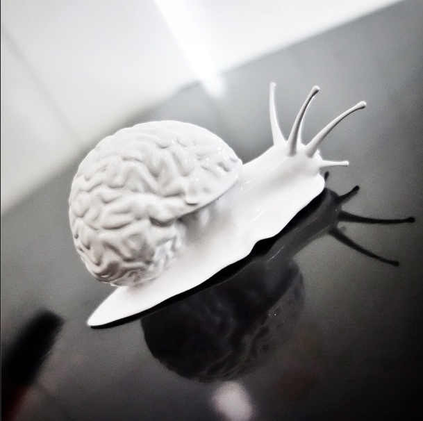 Mini snail brain Snail Brain by Tokyoplastic, Emil... | Trampt Library