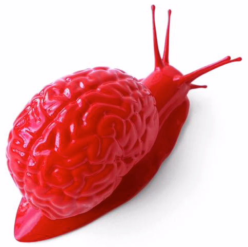 Snail brain - red ( outland exclusive ) Snail Brai... | Trampt Library