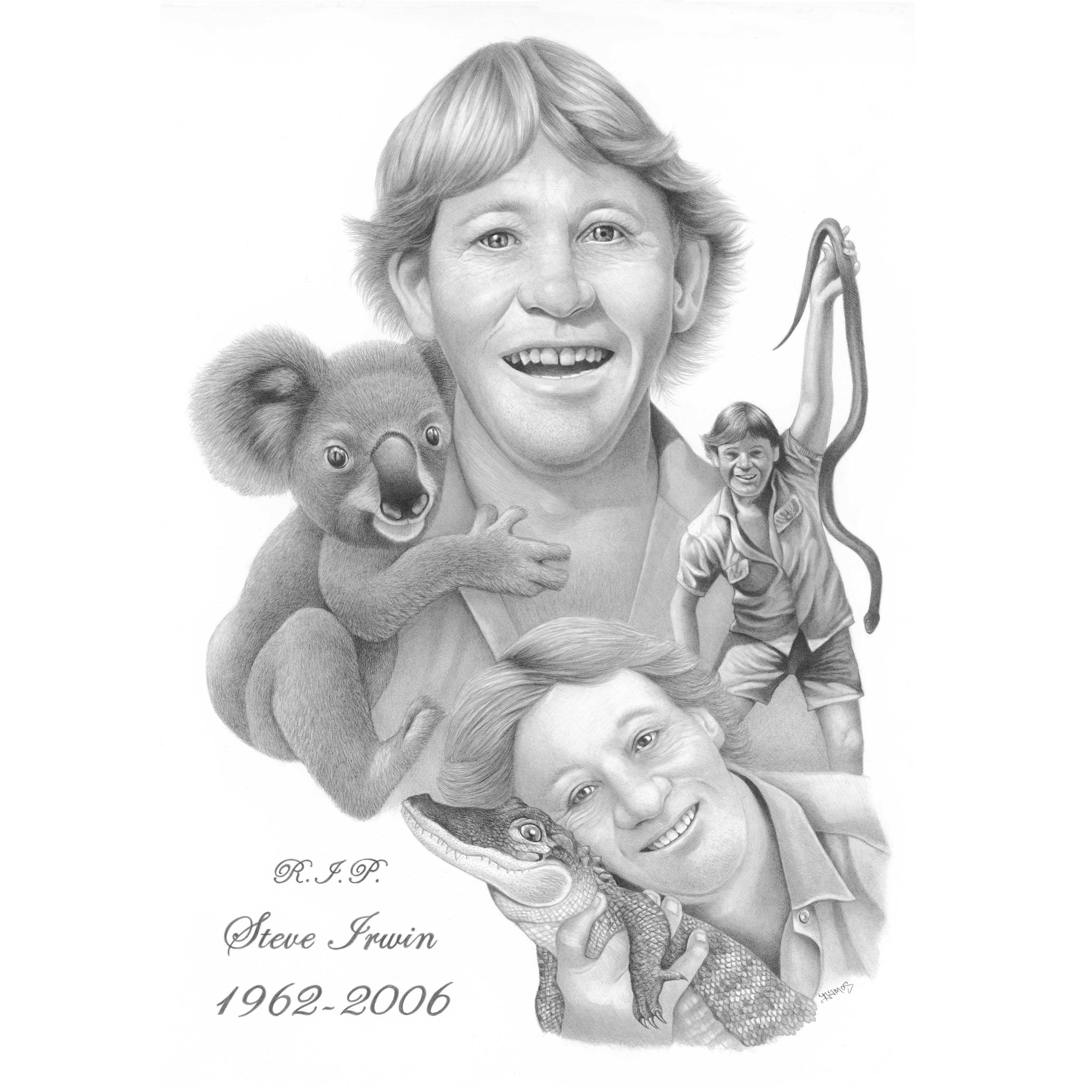 Steve irwin Giclée (Art Print) by Mindmata Creations | Trampt Library