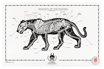 Anatomy of the panther - no.13 Screenprint by Nychos | Trampt Library