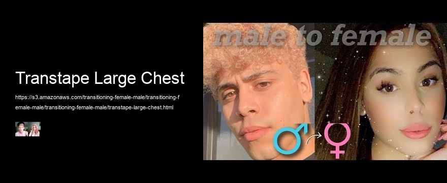 Transtape Large Chest