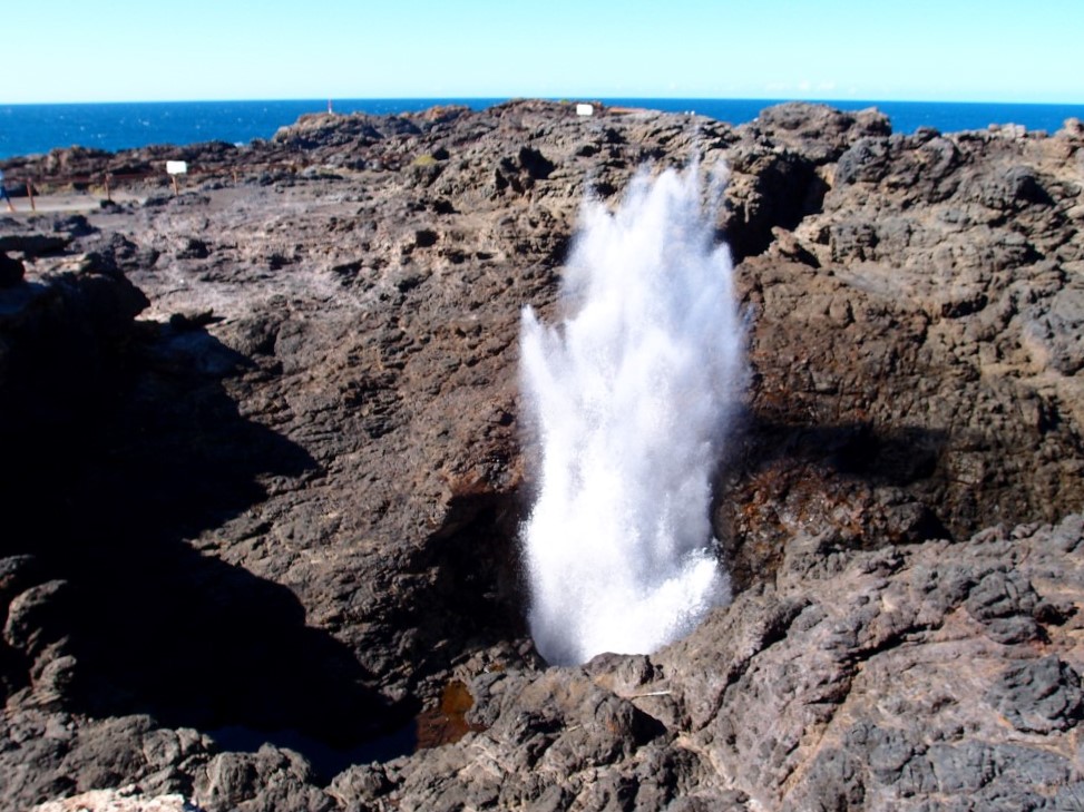 Kiama Blowhole - 20 Things To See And Do - Travel Croc
