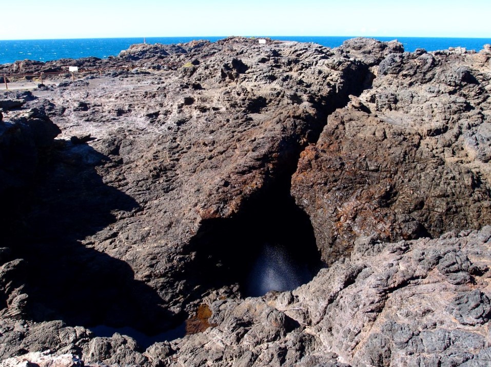 Kiama Blowhole - 20 Things To See And Do - Travel Croc