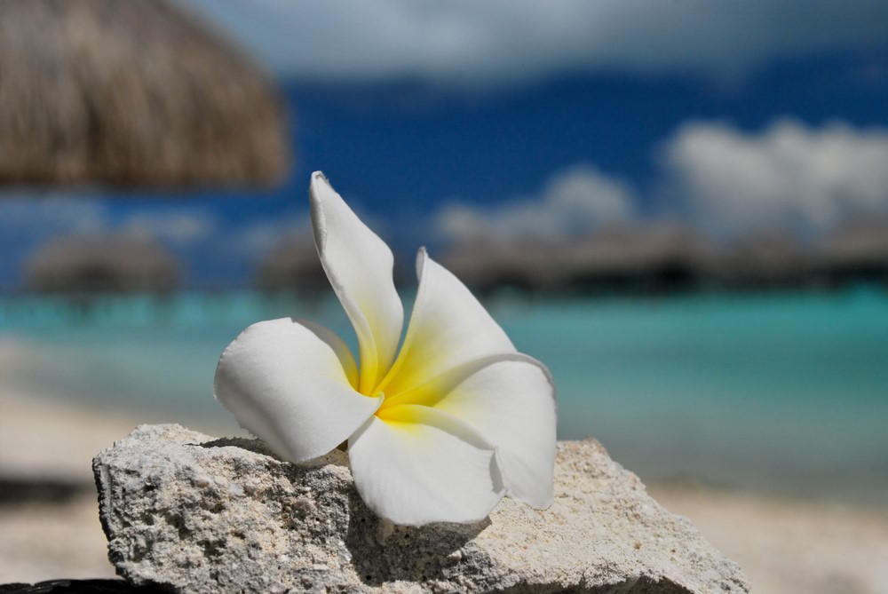 21 Bora Bora Facts: History, Information and Fun - Travel Croc