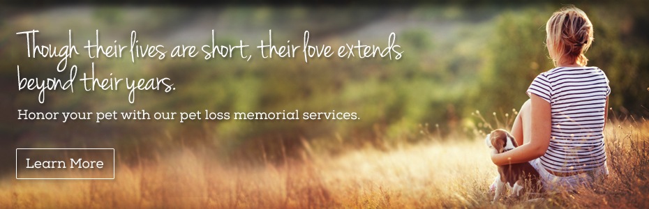Vandemore Pet Cremation Services | Geneseo, IL