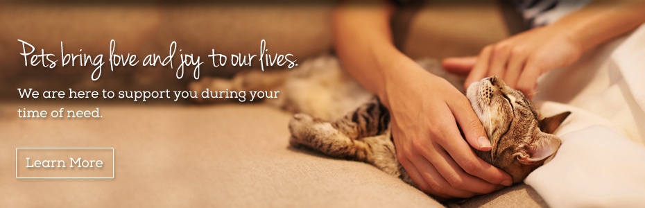 Vandemore Pet Cremation Services | Geneseo, IL