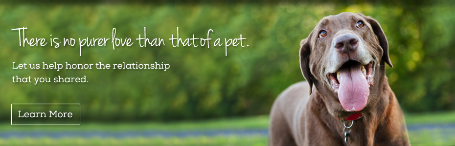 Vandemore Pet Cremation Services | Geneseo, IL