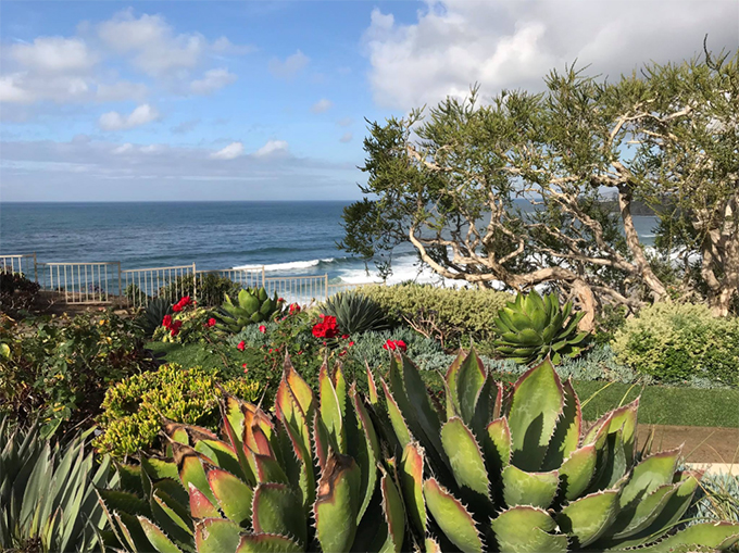 Sunny So Cal