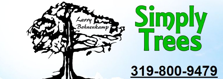 Iowa’s Top Rated Local® Tree Care Companies Award Winner: Simply Trees