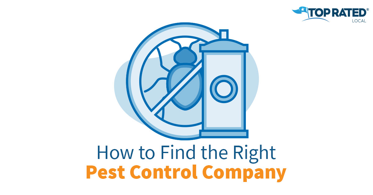 Robyn Rivera, Author at Top Rated Local Blog