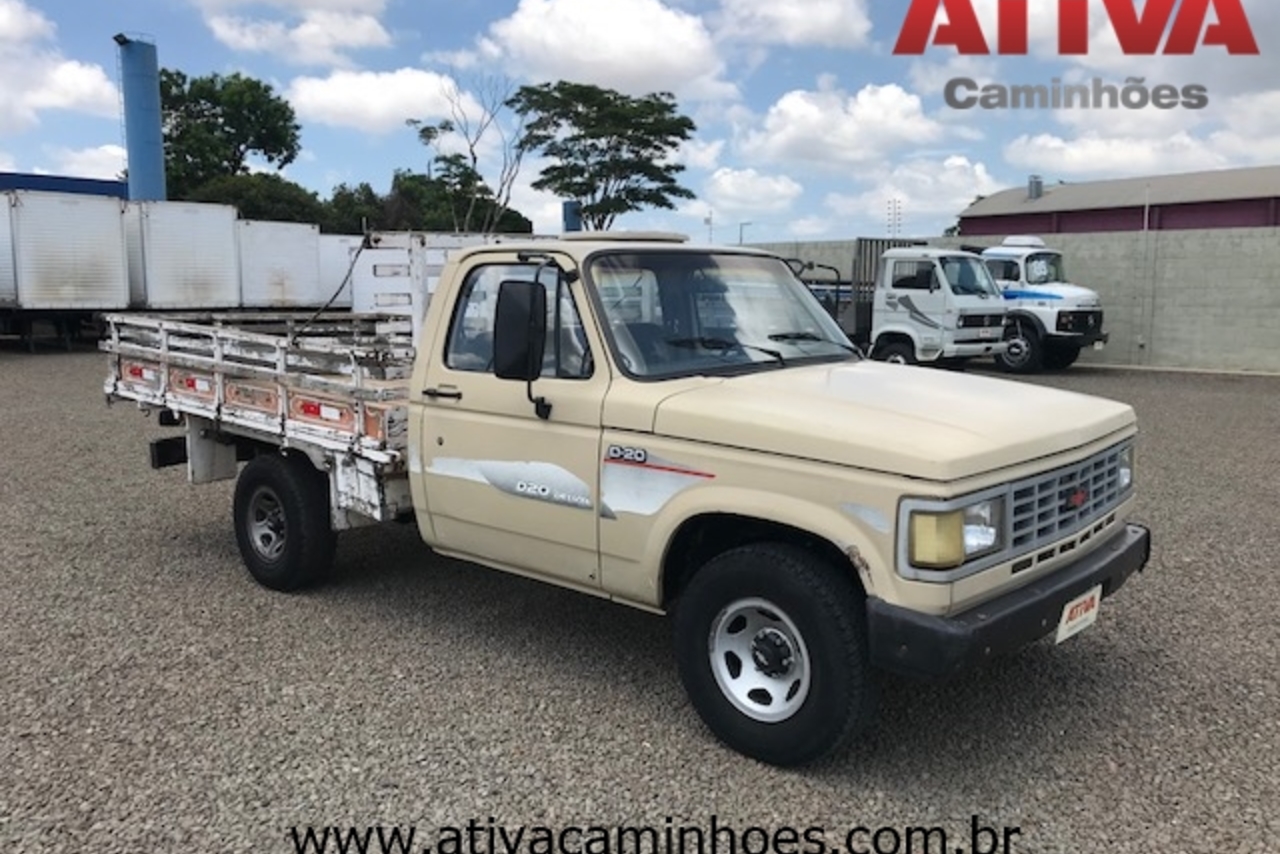 Caminhão GM D20 91/92 - Ativa Caminhões | Trucadao.com.br