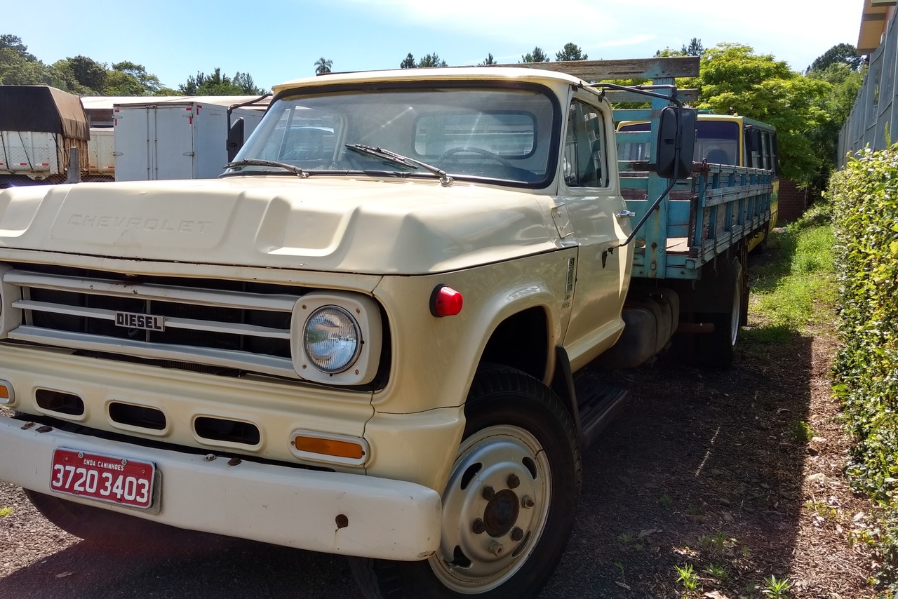 Caminhão Chevrolet D60 77/77 - Onda Caminhões | Trucadao.com.br