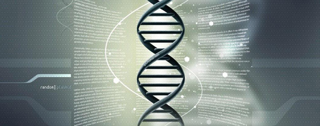 Can a person be born gay or with the wrong gender? | TrueLife.org