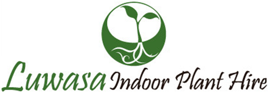 Luwasa Indoor Plant Hire Reviews | Customer Service Reviews of Luwasa ...