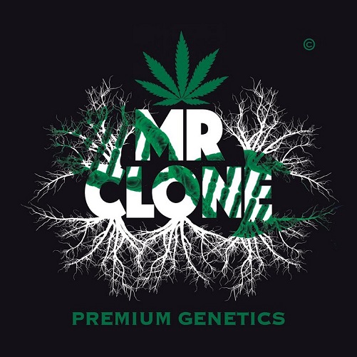 Mr Clone Reviews | Customer Service Reviews of Mr Clone | https://www ...