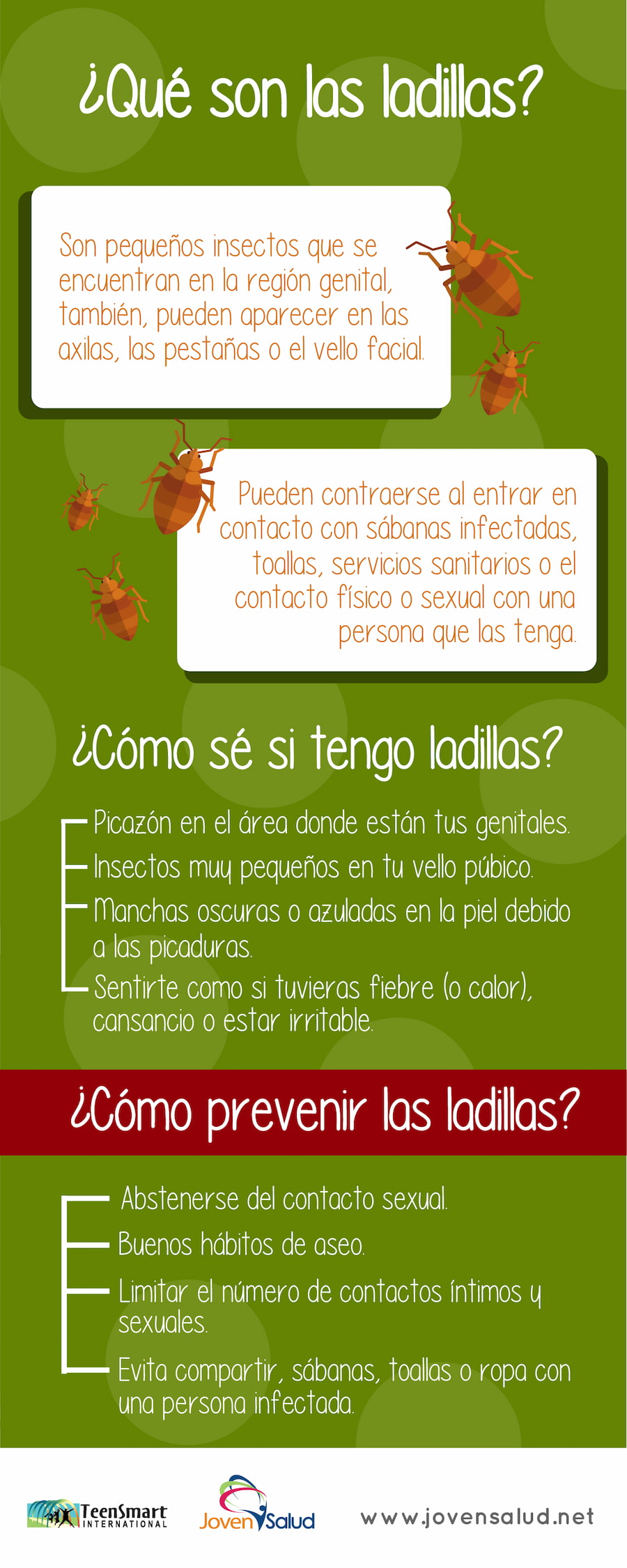 ¿Qué son las ladillas? Son pequeños insectos que se encuentran en la ...