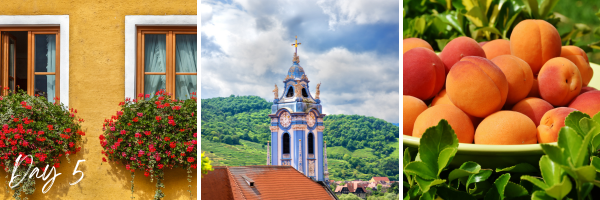 2025 Blue Rodeo on the Romantic Danube | Stewart Travel Group