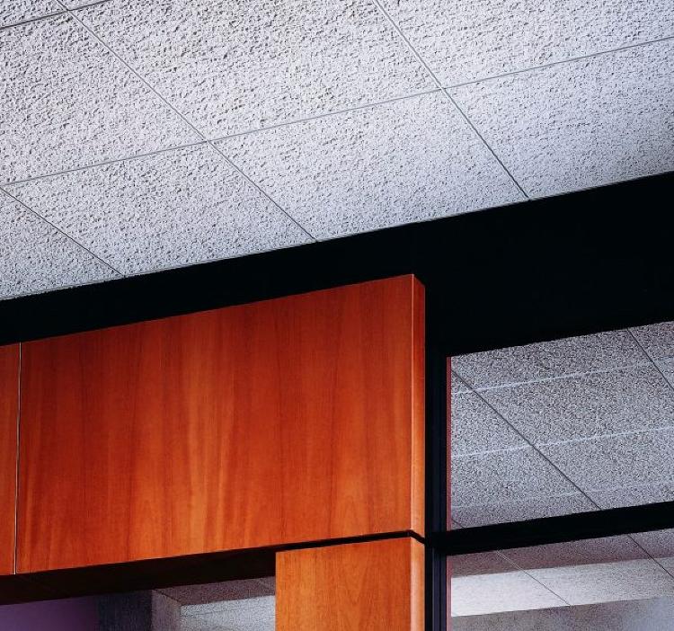 3/4 in x 2 ft x 2 ft USG Glacier Basic Acoustical Shadowline Panel ...