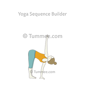 Revolved Standing Forward Fold Pose Yoga (Parivrtta Uttanasana) | Yoga ...