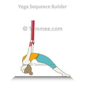 Two Legged Inverted Staff Pose Aerial Yoga (Dwi Pada Viparita Dandasana ...