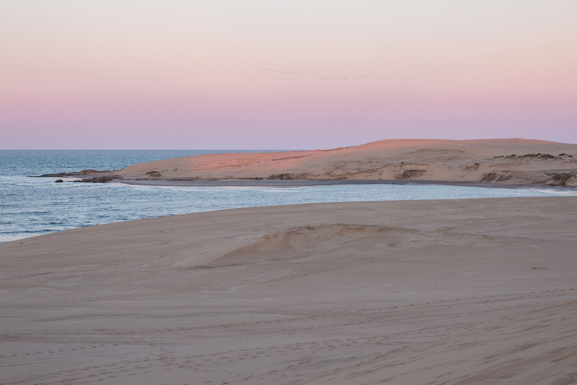 Senderos autoguiados de las Dunas, descubre los secretos de las ...