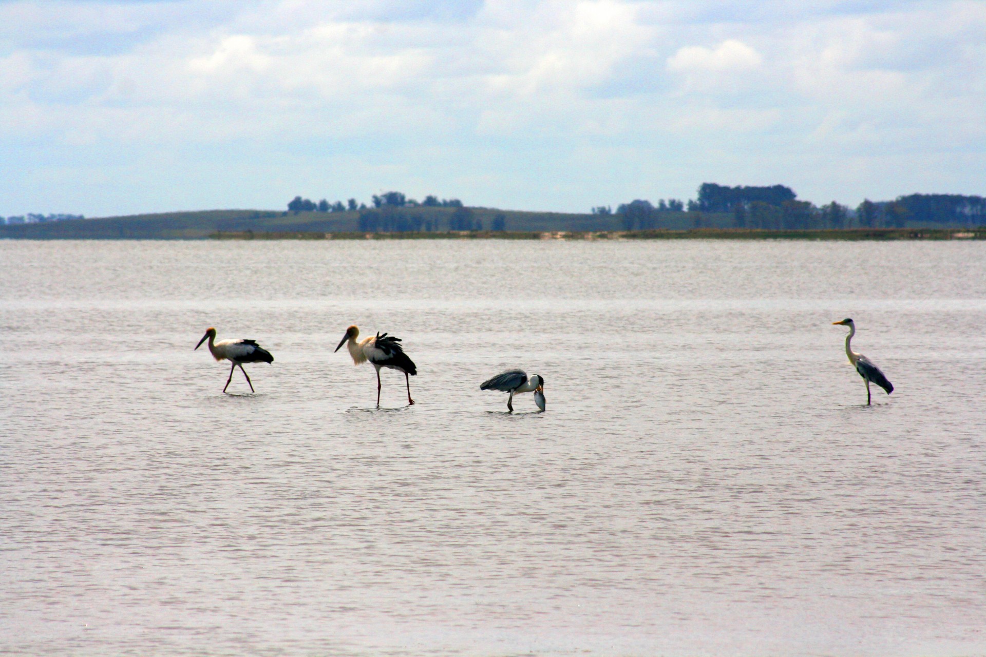 Circuitos turísticos en Rocha, para visitar y recorrer