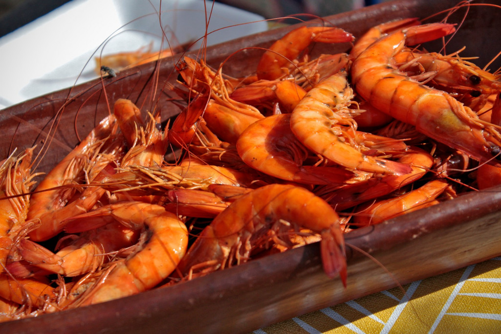 3ª Semana del Camarón en Barra de Valizas: gastronomía, paseos y más ...