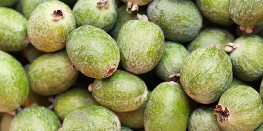 Feijoas | Food & Drink | The Weekend Edition