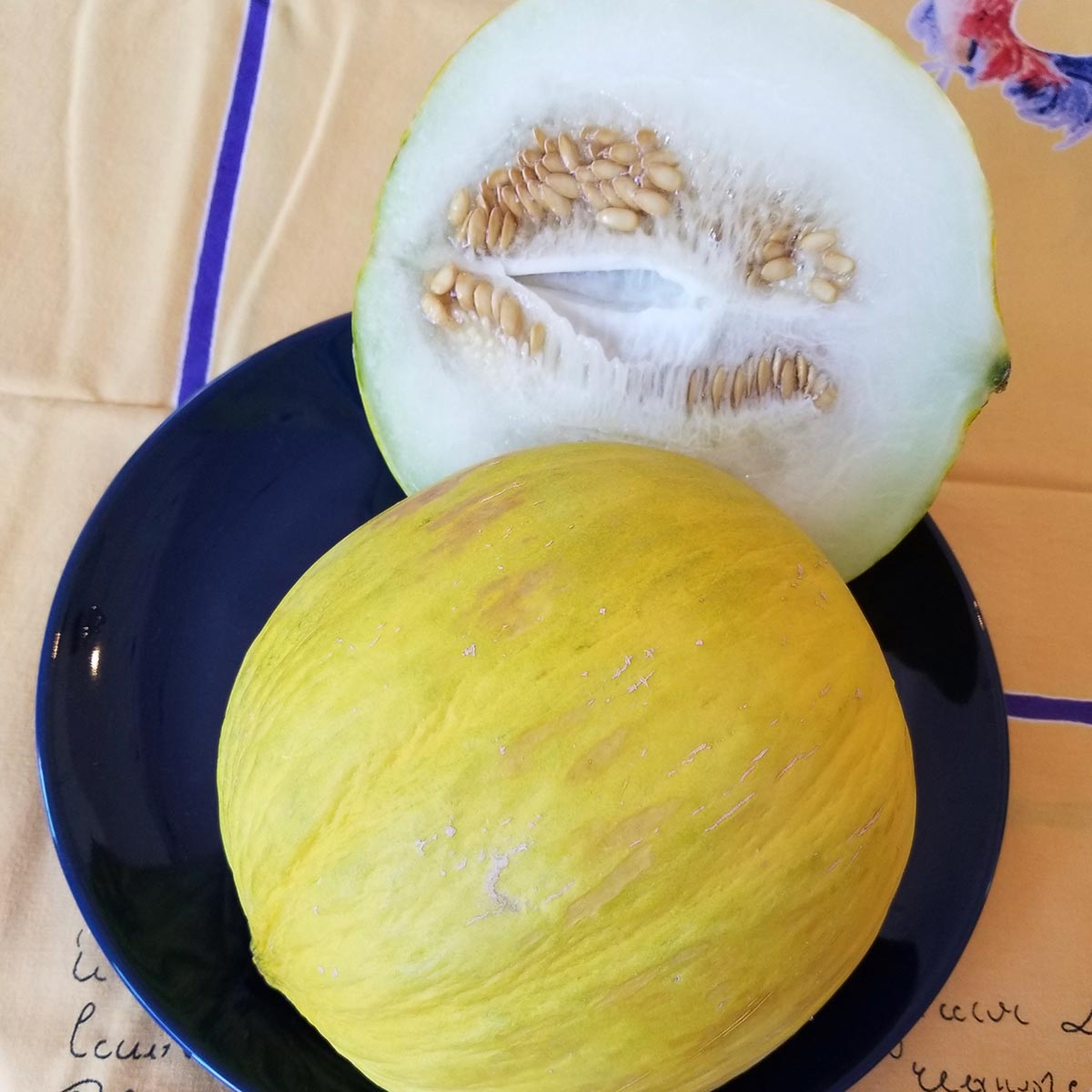 Cooking with melon: start with the fragrance | UCHealth Today