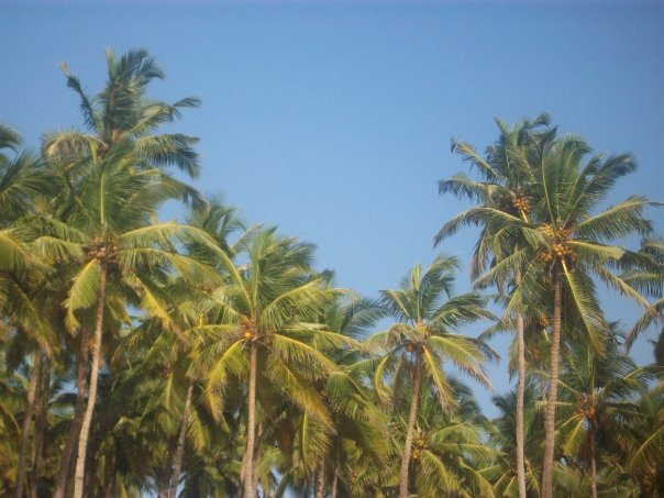 uencounter.me > discussions > encounter