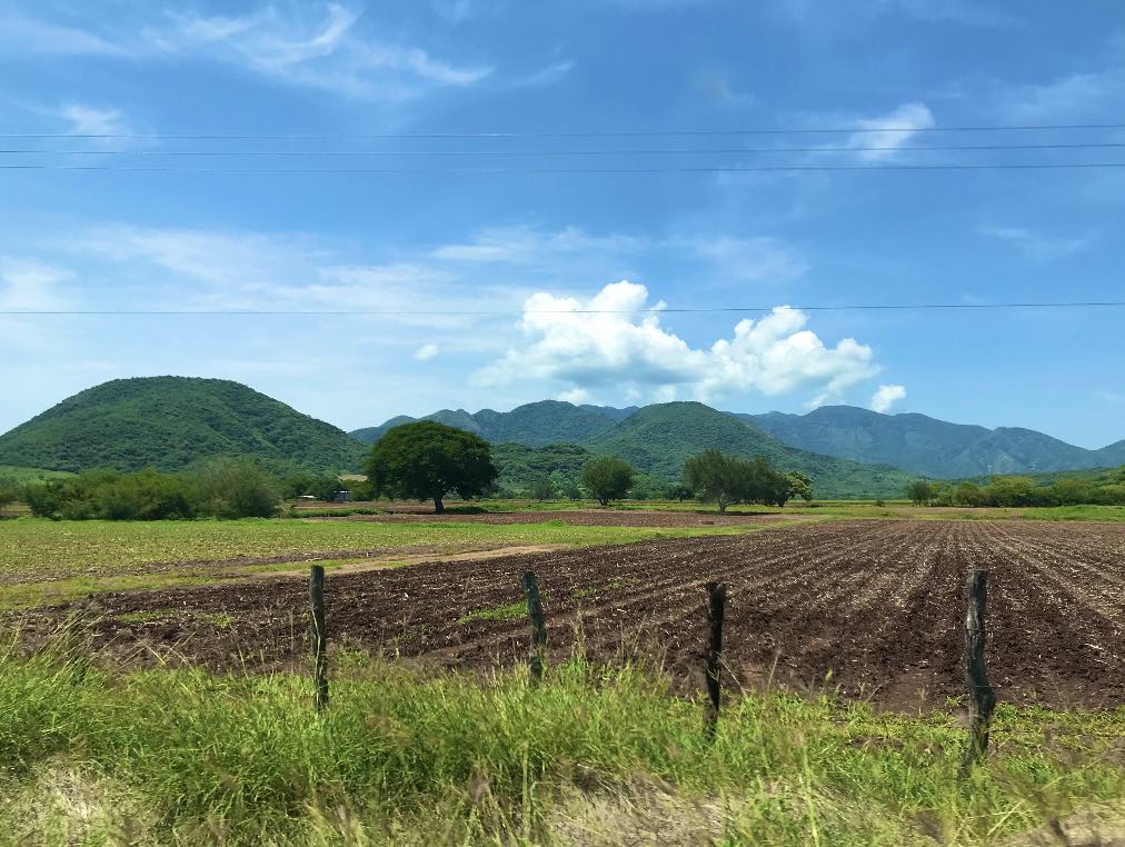 Por temor a la canícula muchos aún no siembran sus terrenos en Tierra ...
