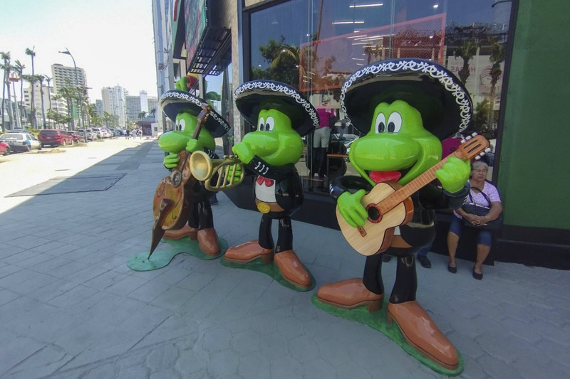Señor Frog’s en Acapulco Archivos - El Sur Acapulco suracapulco I ...