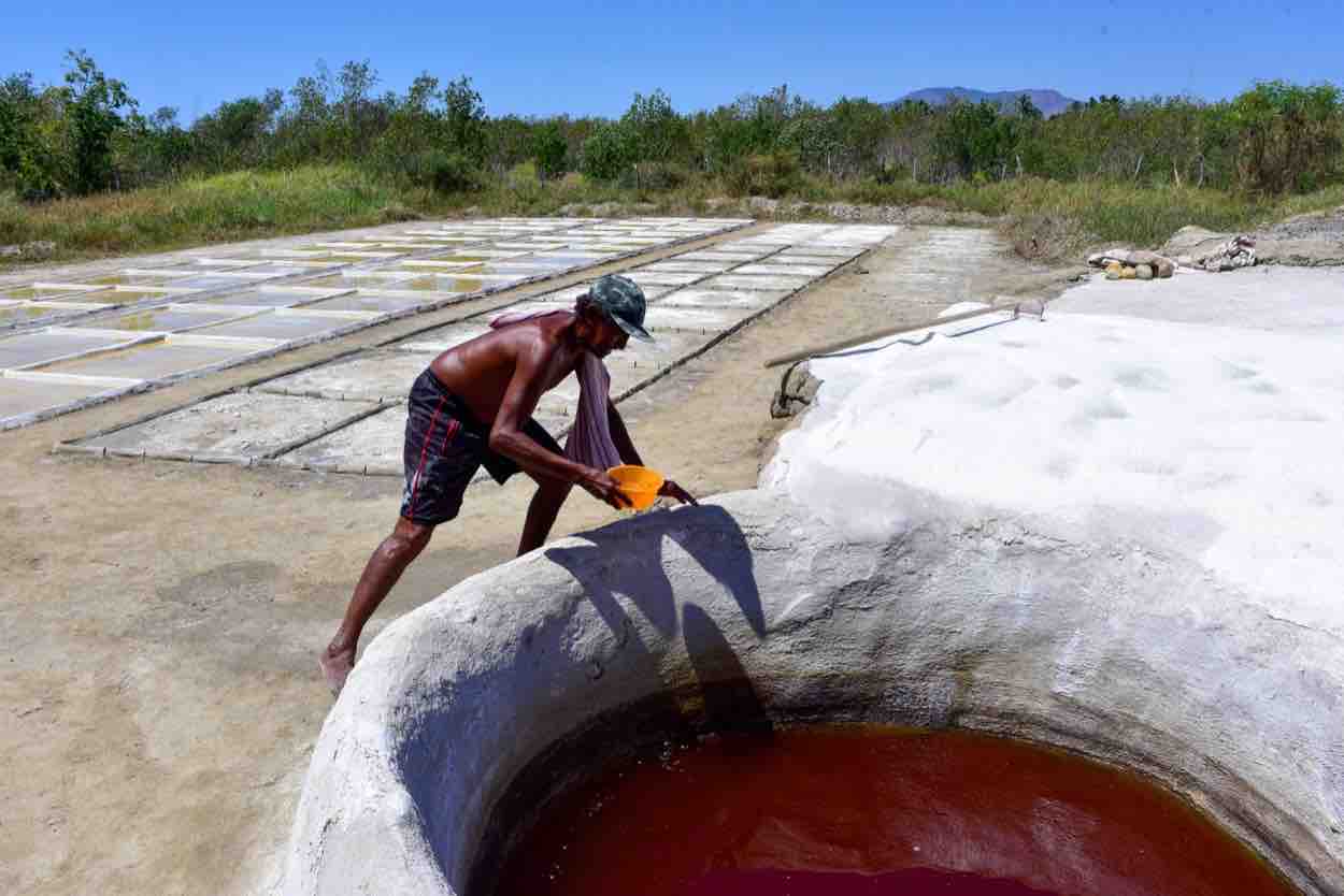 Poco a poco se pierde la añeja tradición de producir sal criolla en ...