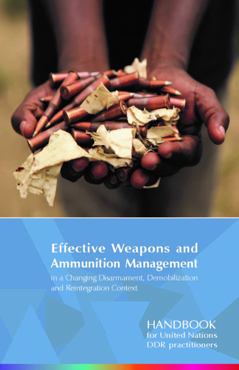 Reorienting towards the future: Integrating state-of-the-art weapons ...