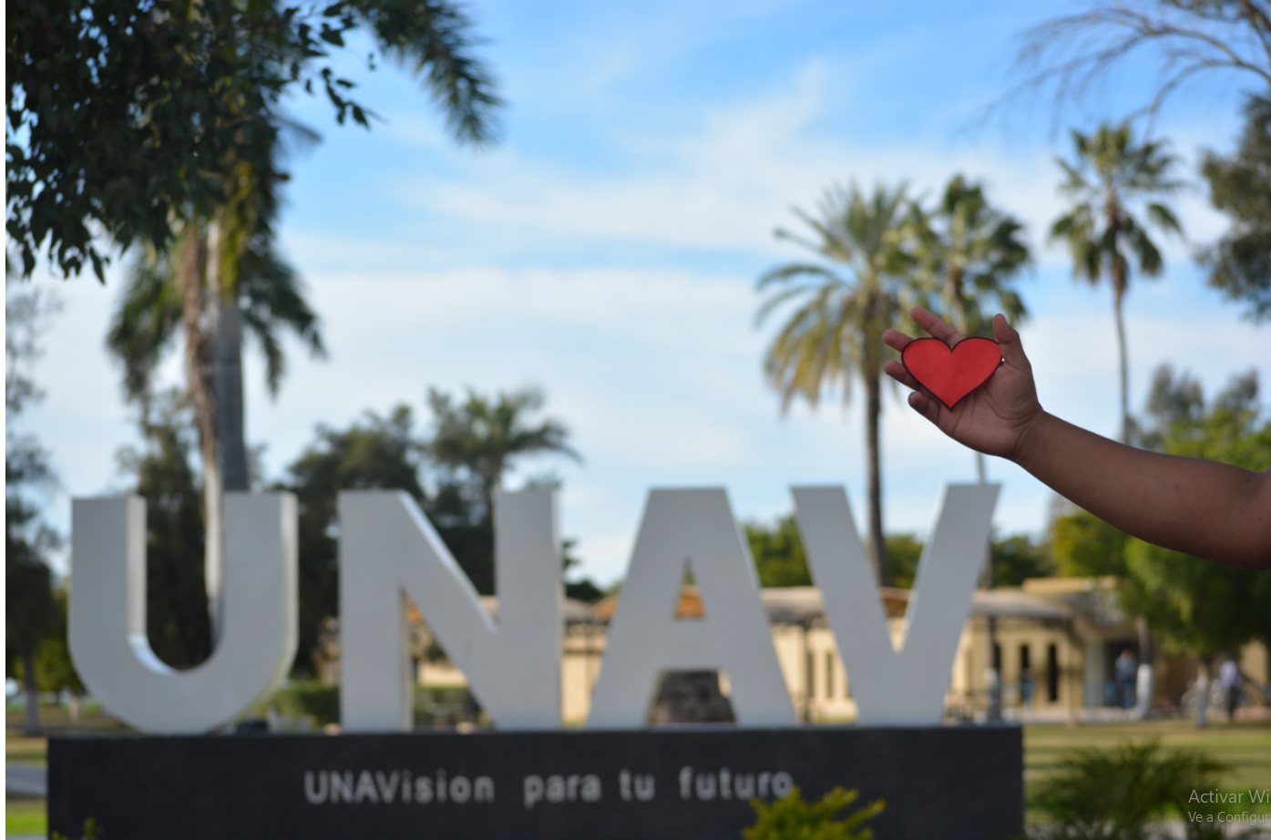 Registro UNAV